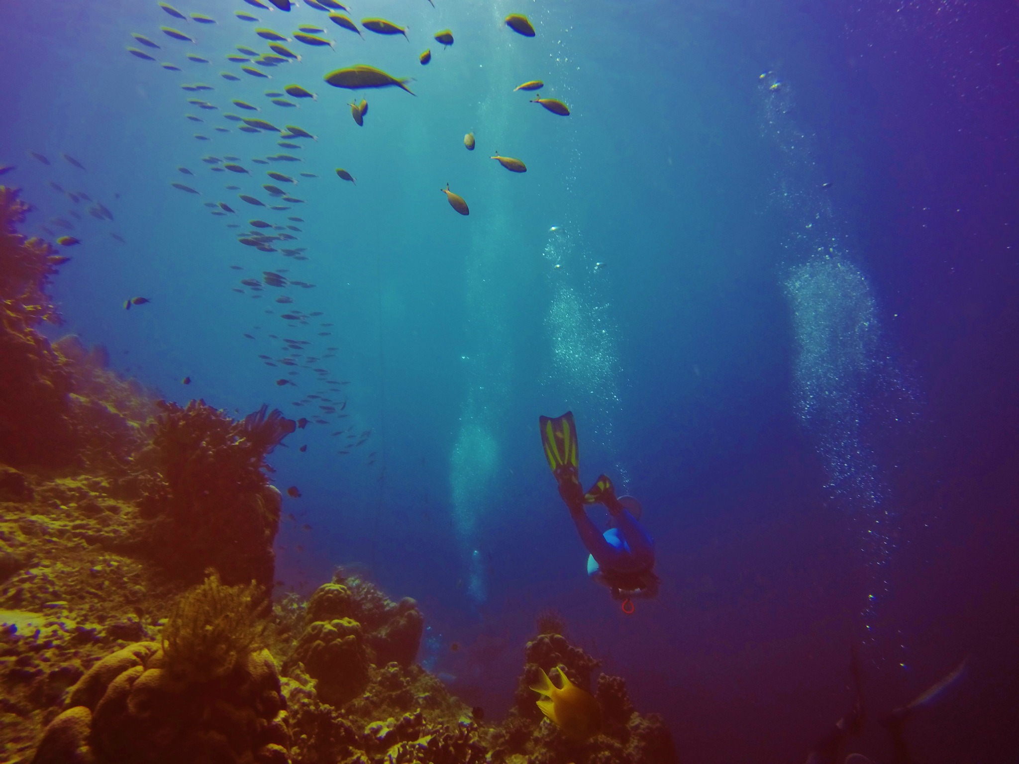Diving Underneath the Blue Waters of Sumilon Island – The Wanderlust Keeper