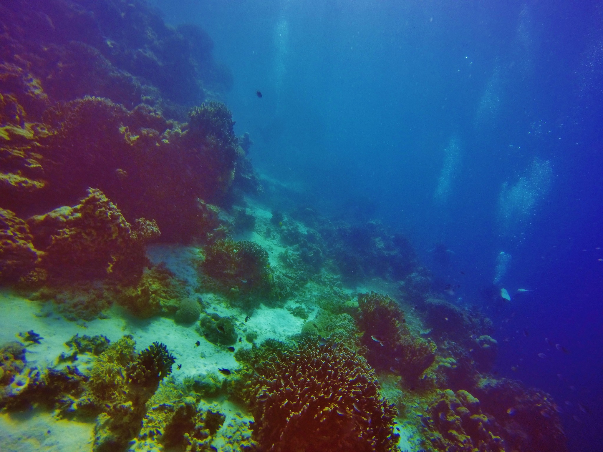 Diving Underneath the Blue Waters of Sumilon Island – The Wanderlust Keeper