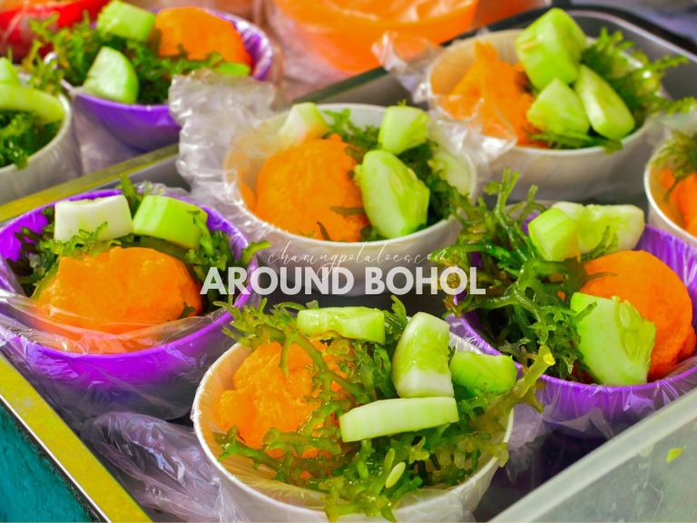Exploring the Irresistible Street Food Delights of Bohol – The ...
