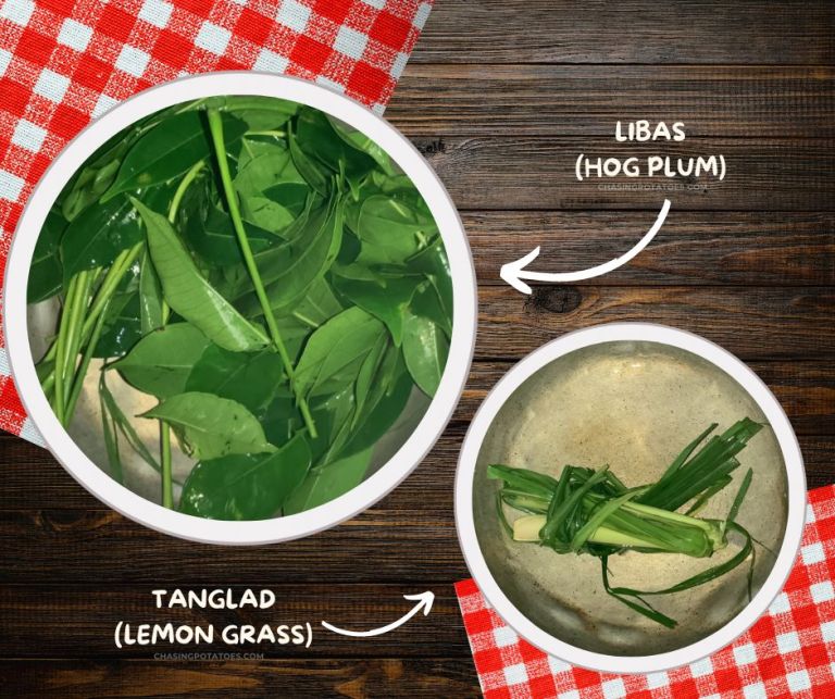 Loko-Loko: A Pufferfish Delicacy with a Zing in Bantayan Island – The ...