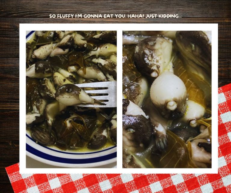 Loko-Loko: A Pufferfish Delicacy with a Zing in Bantayan Island – The ...