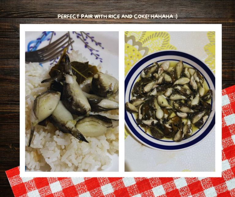 Loko-Loko: A Pufferfish Delicacy with a Zing in Bantayan Island – The ...